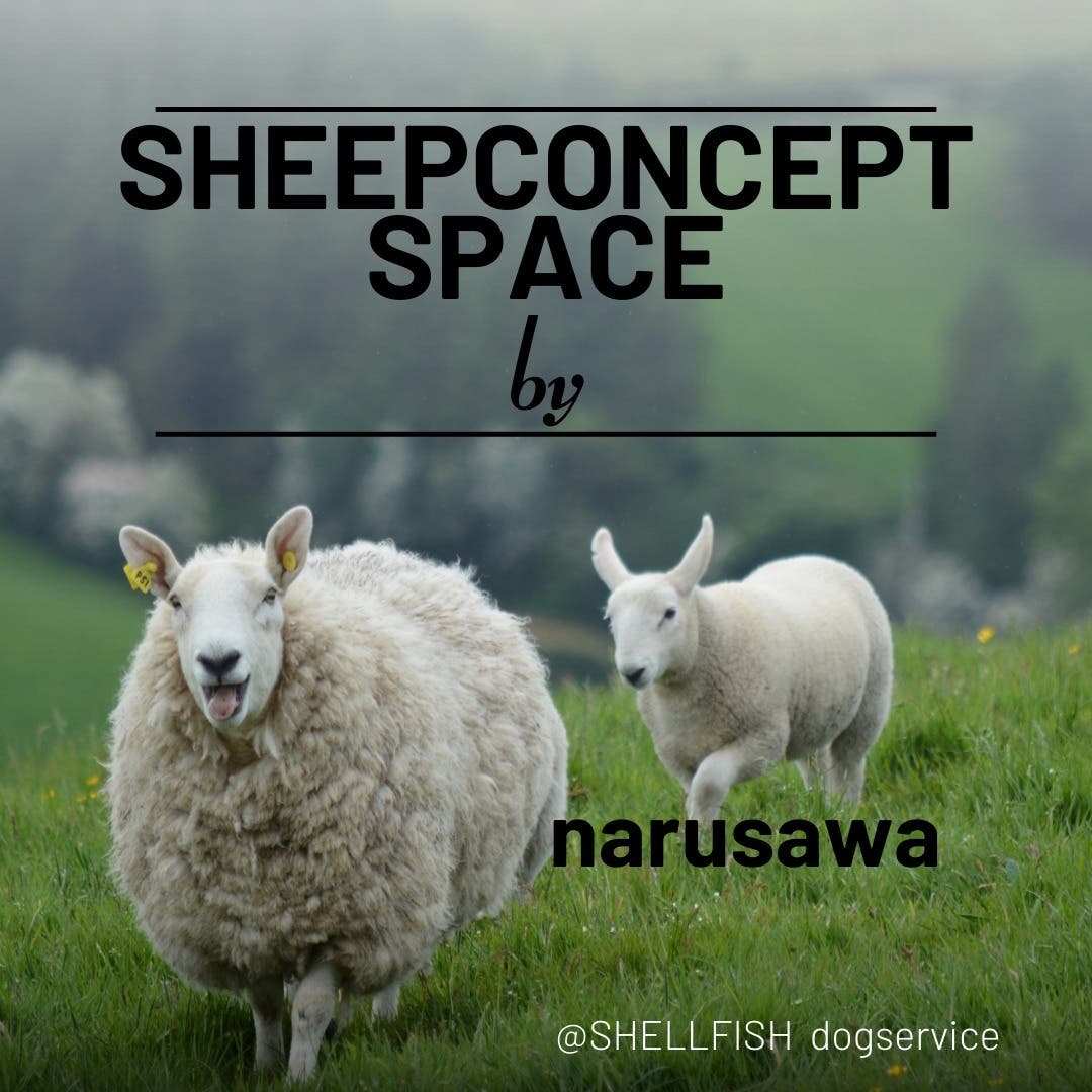 動物撮影（羊、犬）有りの画像1