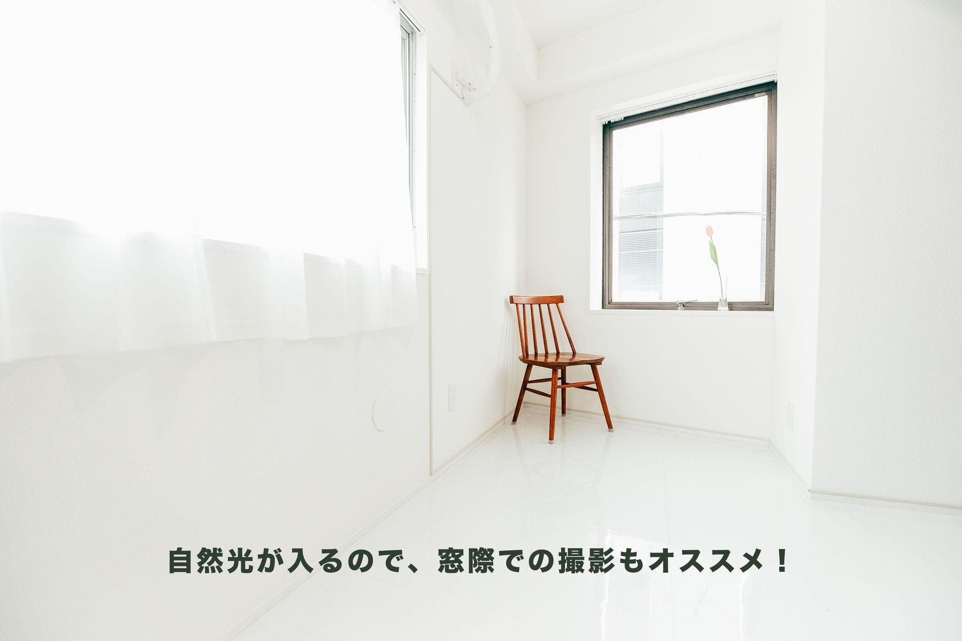 クリスマス🎄巨大なシンボルツリーと自然光、緑豊かな植物が映えるレンタル撮影スタジオの写真7