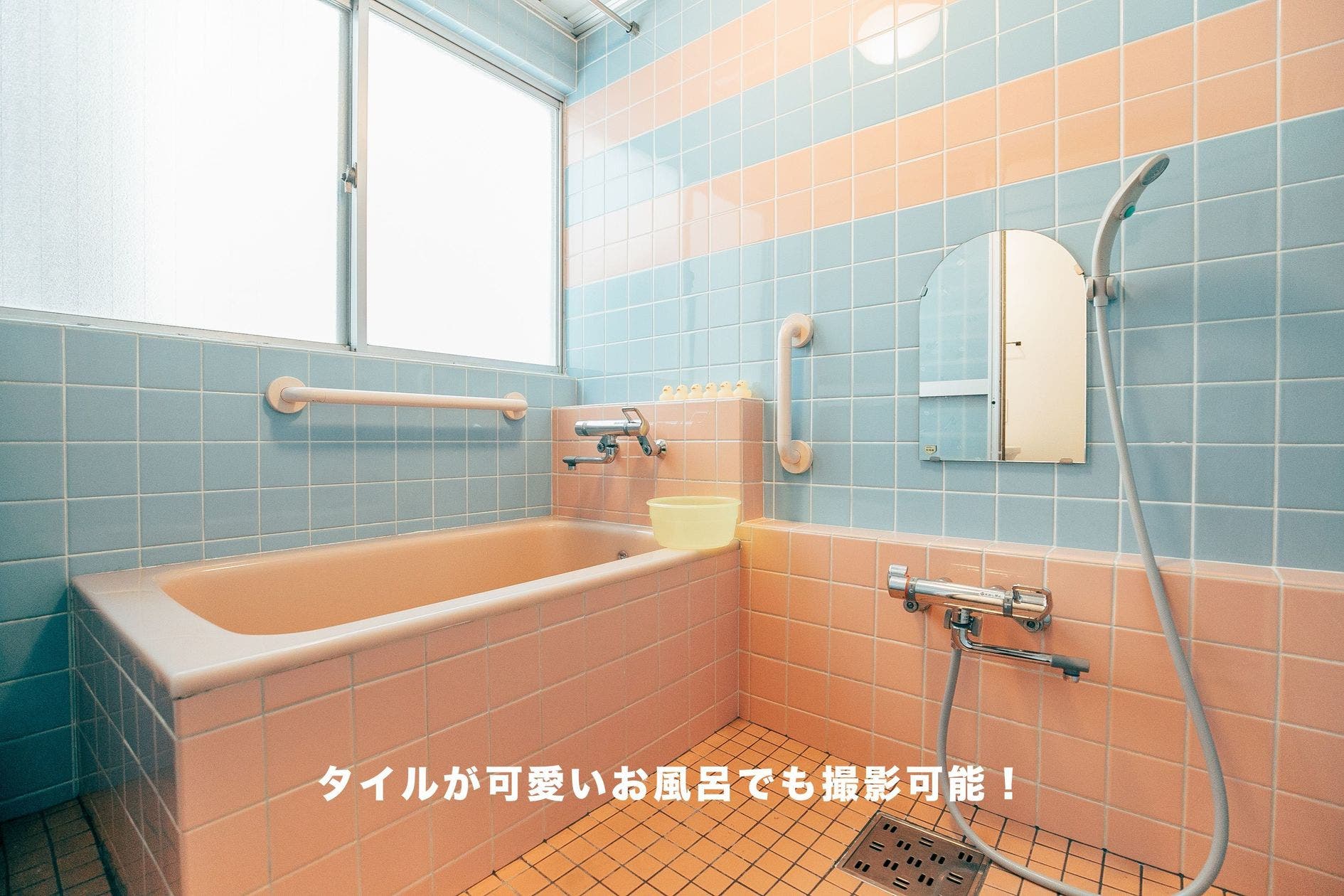 クリスマス🎄巨大なシンボルツリーと自然光、緑豊かな植物が映えるレンタル撮影スタジオの写真3