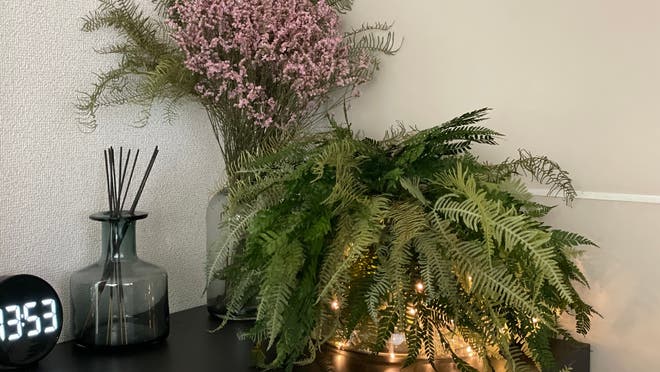 下北沢駅3分♪ 65型TV📺とBlu-ray・fireTVで動画鑑賞✨光WiFi 💖推し会女子会、ホムパ、Web会議やビジネスにの写真12