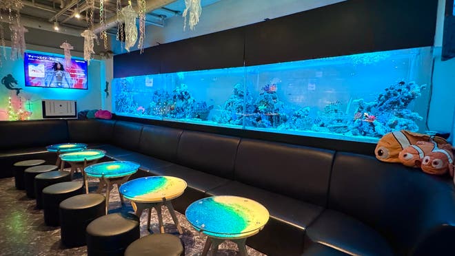 まるで水族館!?壁一面の巨大水槽/駅近/飲み放題OK/カラオケ/シーシャ/パーティ/イベント/女子会/撮影/収録の写真1