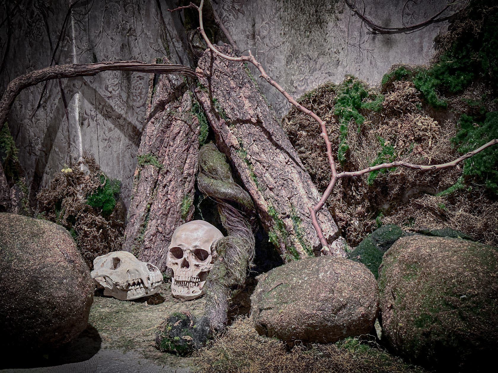 廃墟を思わせる雰囲気が漂う幻想的な撮影スタジオ 94㎡ | 両国駅徒歩10分 | ＃廃墟＃コスプレ＃アパレル＃ハウススタジオの写真7