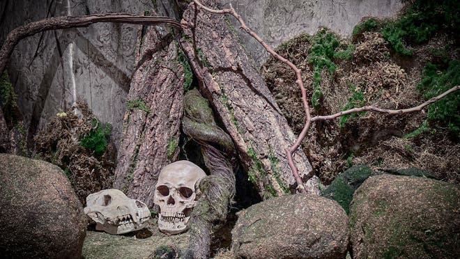 廃墟を思わせる雰囲気が漂う幻想的な撮影スタジオ 94㎡ | 両国駅徒歩10分 | #廃墟#コスプレ#アパレル#ハウススタジオの写真7