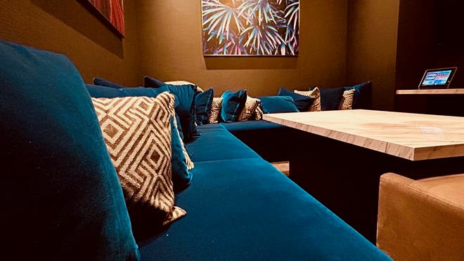 【カラオケルーム】新橋駅徒歩1分!特別空間✨駅近レンタルスペース🏠隠れ家風🔐大人数OK😍の写真2