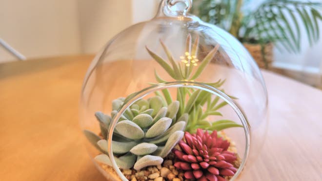 高田馬場🚉3分 ✨ 明るく清潔でお洒落⚡美容・セラピー・ボドゲ・ソロワークにも最適! 💻大型モニター、定期除菌の写真10