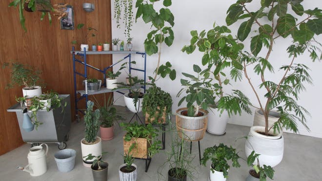 路面店/店舗風など撮影は勿論、展示会やイベント/車の乗入れも可。ドラマ等長期も対応の写真27