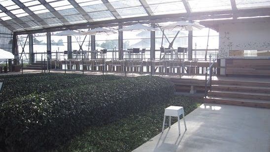 TERRACE&GARDEN「THE HOUSE」の写真3