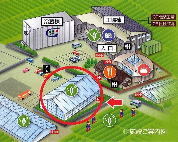 TERRACE&GARDEN「THE　HOUSE」の写真8