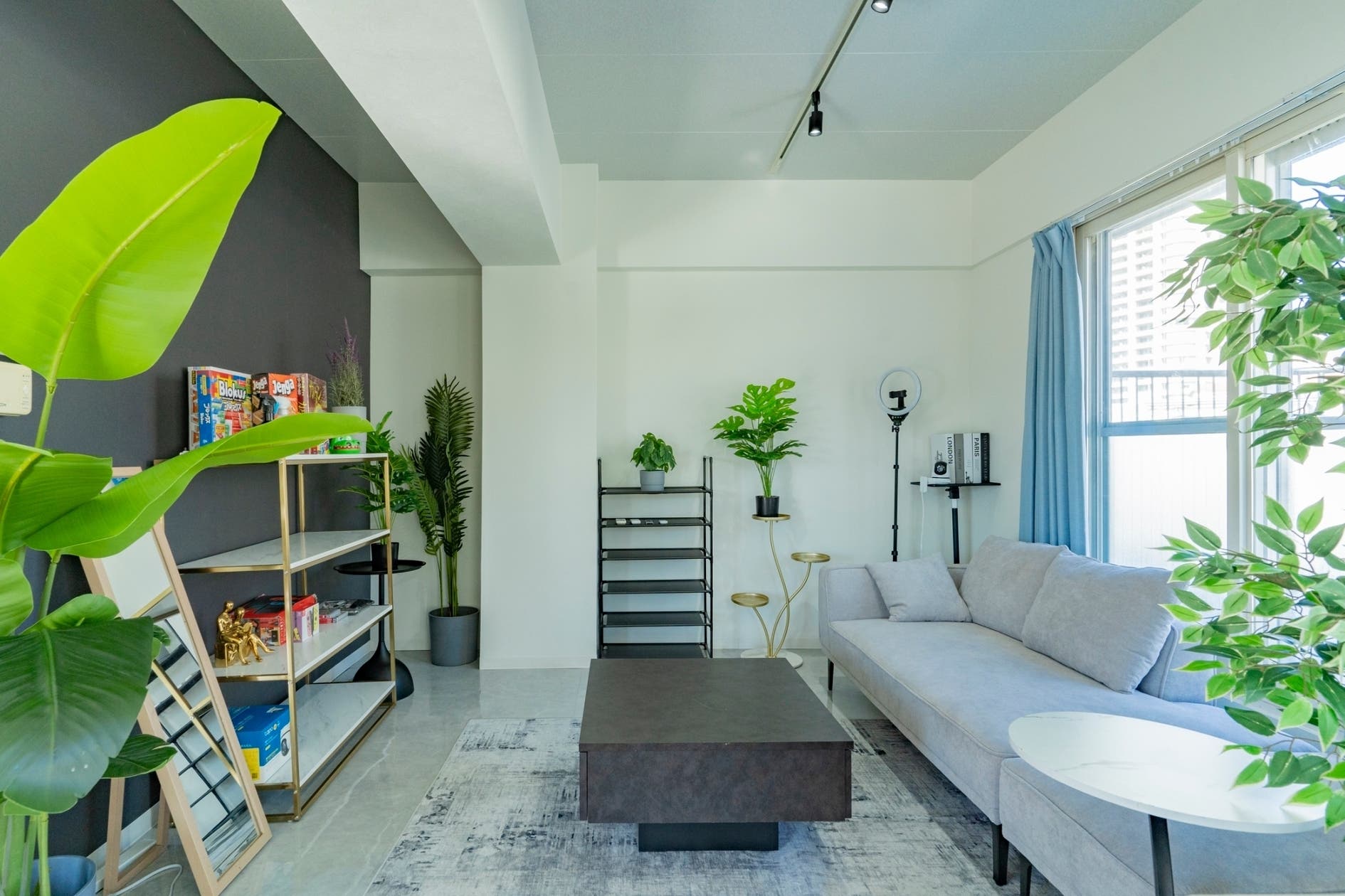 【池袋駅 徒歩5分】自然光×白背景｜リール撮影・YouTube撮影🎥ロケ・スタジオ撮影📸ポートレート、商品撮影🍃コスプレ◎の写真15