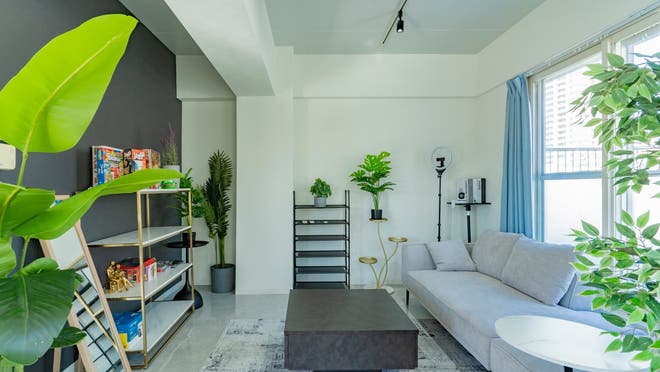 【池袋駅 徒歩5分】自然光×白背景|リール撮影・YouTube撮影🎥ロケ・スタジオ撮影📸ポートレート、商品撮影🍃コスプレ◎の写真15