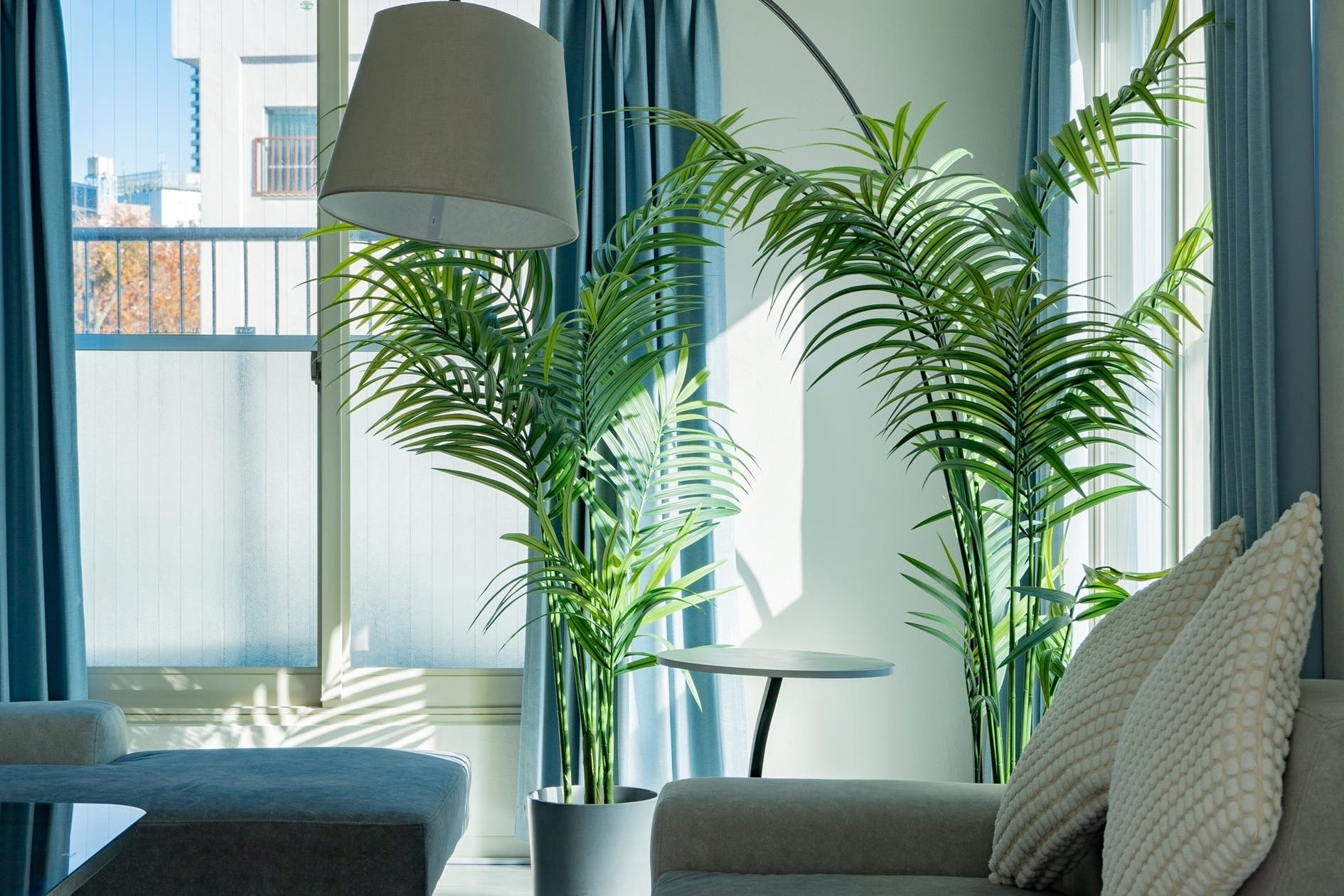 【池袋駅 徒歩5分】自然光×白背景｜リール撮影・YouTube撮影🎥ロケ・スタジオ撮影📸ポートレート、商品撮影🍃コスプレ◎の写真8