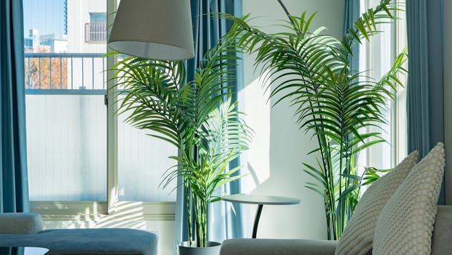 【池袋駅 徒歩5分】自然光×白背景|リール撮影・YouTube撮影🎥ロケ・スタジオ撮影📸ポートレート、商品撮影🍃コスプレ◎の写真8