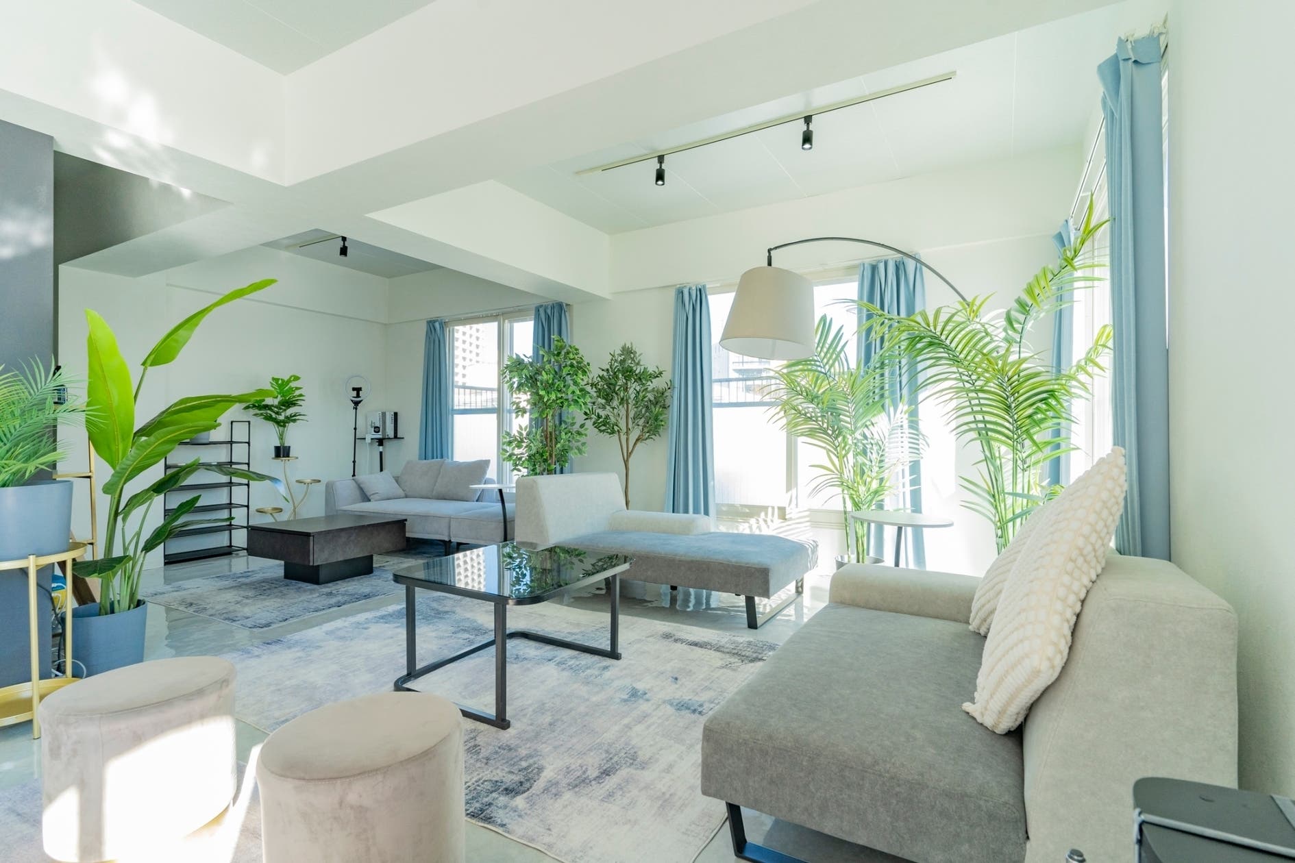 【池袋駅 徒歩5分】自然光×白背景｜リール撮影・YouTube撮影🎥ロケ・スタジオ撮影📸ポートレート、商品撮影🍃コスプレ◎の写真21