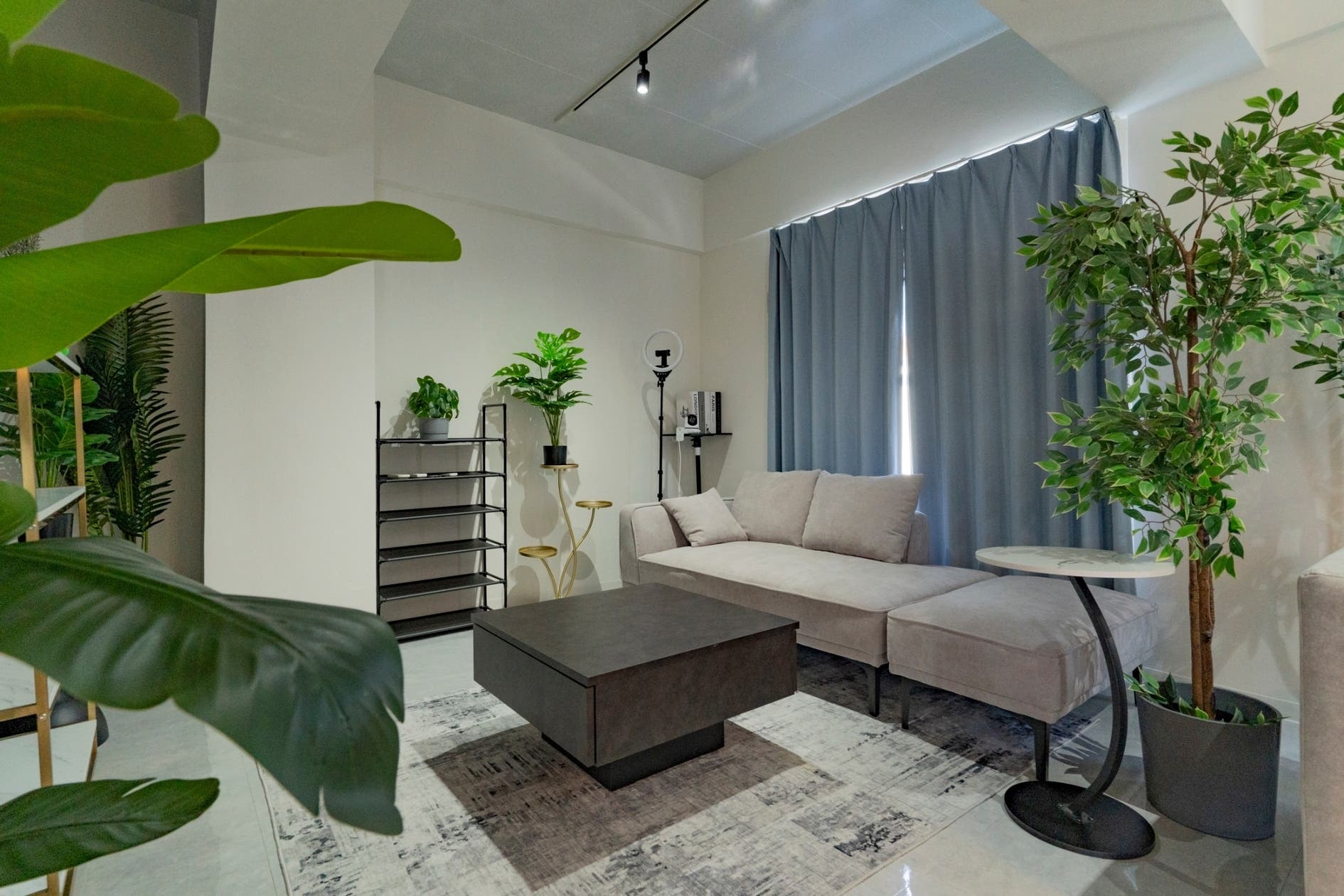 【池袋駅 徒歩5分】自然光×白背景｜リール撮影・YouTube撮影🎥ロケ・スタジオ撮影📸ポートレート、商品撮影🍃コスプレ◎の写真22