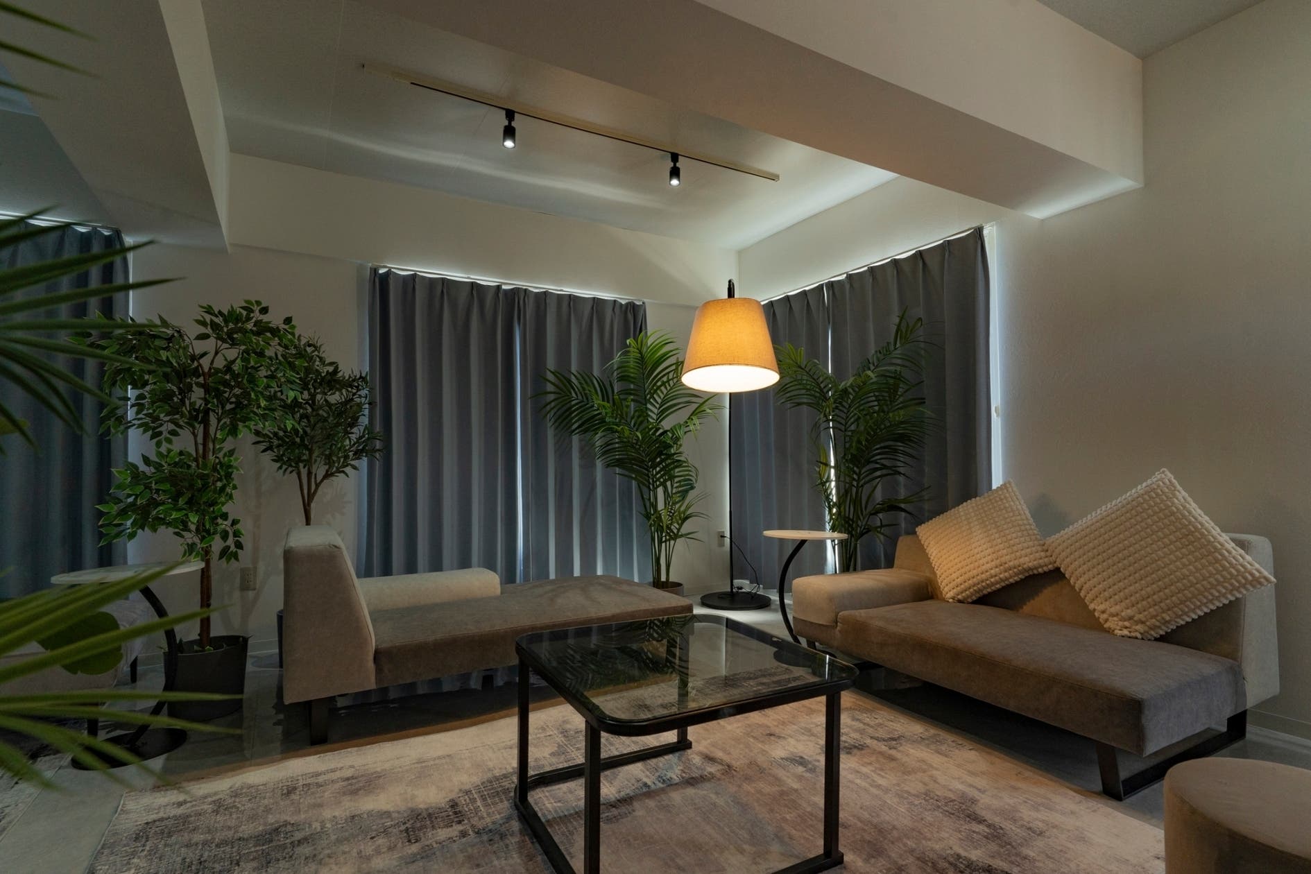 【池袋駅 徒歩5分】自然光×白背景｜リール撮影・YouTube撮影🎥ロケ・スタジオ撮影📸ポートレート、商品撮影🍃コスプレ◎の写真13