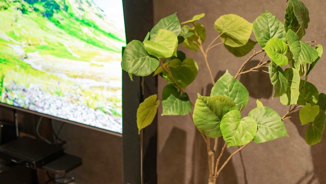 プライベートシアター柏📺75㌅巨大テレビ📺5.1chシアターサラウンド🔈映画鑑賞🎬ライブ鑑賞💿推し活🎤ゲーム🎮などの写真17