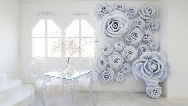 【花とつながる無限・白のファンタジー】4面自然光|シンデレラ馬車|満月|階段|漆喰白壁|ドレス着放題!|撮影機材無料!の写真3