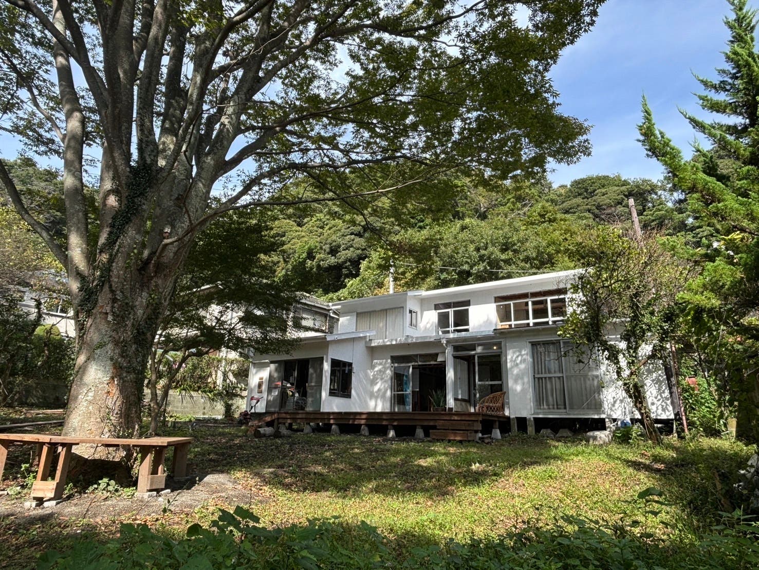 逗子駅から徒歩9分/駐車場1台可/シンボルツリーを眺める個室の写真6