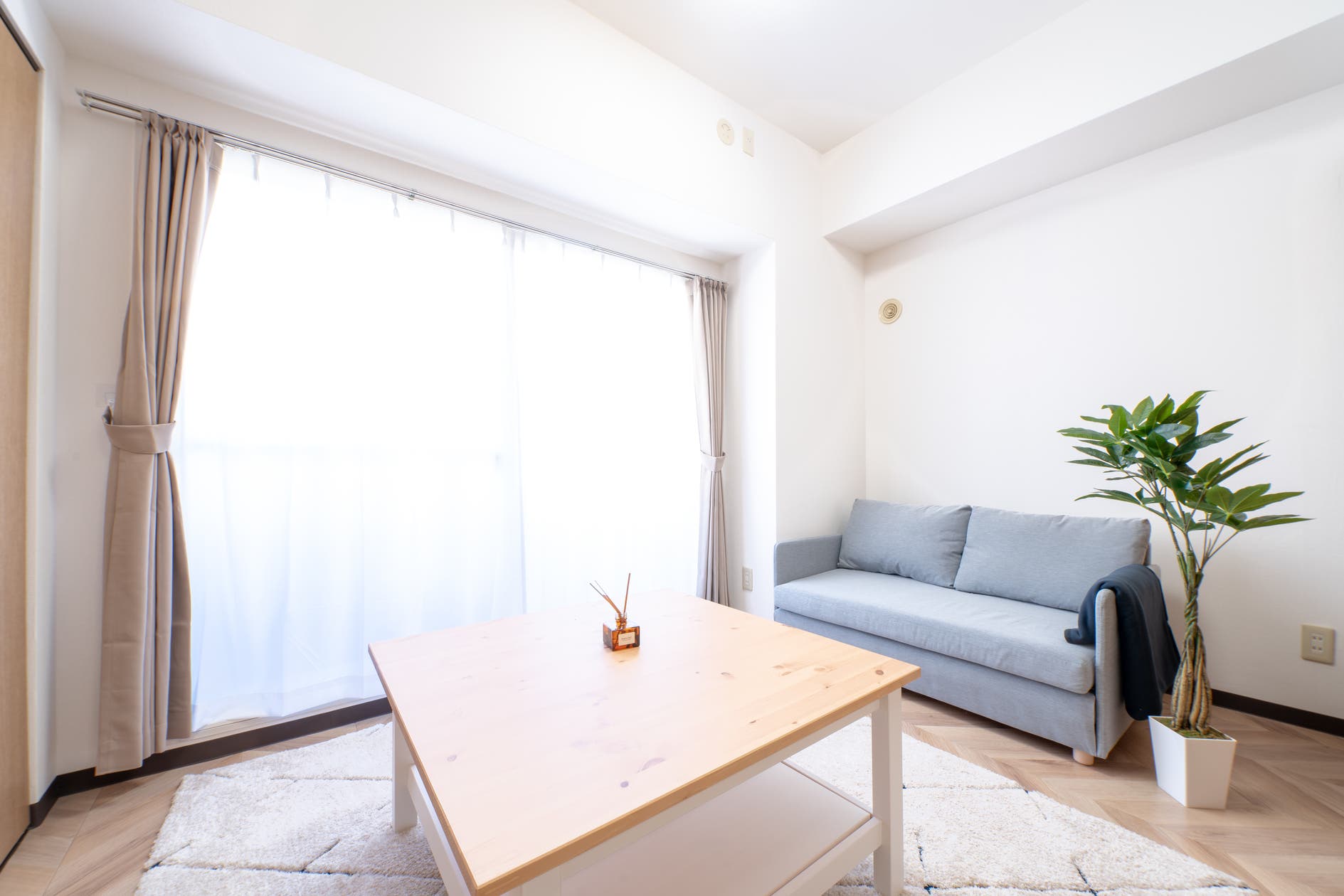 スペモ🏠️クリスマス🎄学割👨‍🎓駅徒歩2分👣ボドゲ🎲女子会🍒デート💖パーティ🥂566_lumiすすきの2ndの写真24