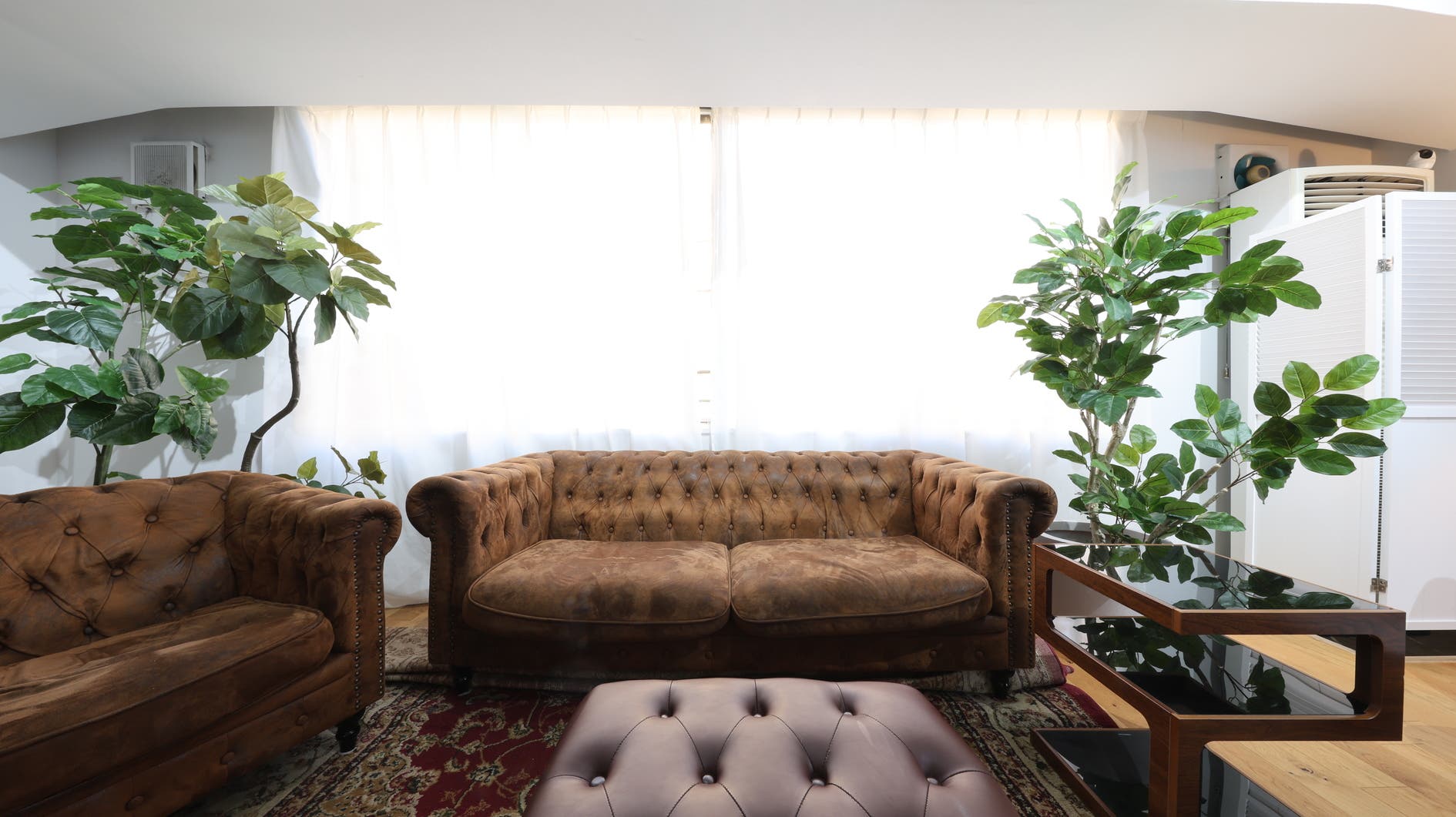 #ババGoburin【高田馬場】駅1分 クリスマス🎄忘年会🤶🌸学割🌸撮影⚡推し活🫶💓誕生日🎂格安💰✨の写真29