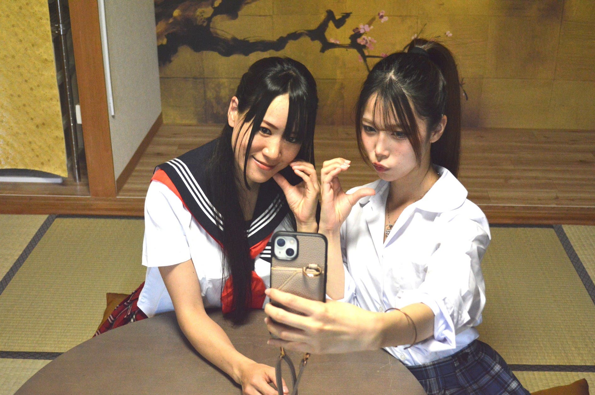 【つるふく】和モダン一棟貸し/制服貸出/岬町/コスプレ・撮影・イベントなどの写真5