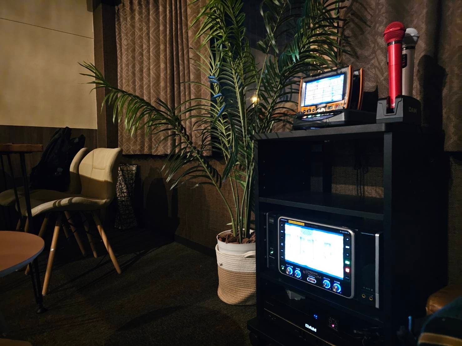 カラオケオプション※カラオケを利用される場合は必ずお付けください。無断利用が発覚した場合は10000円を請求いたします。の画像1