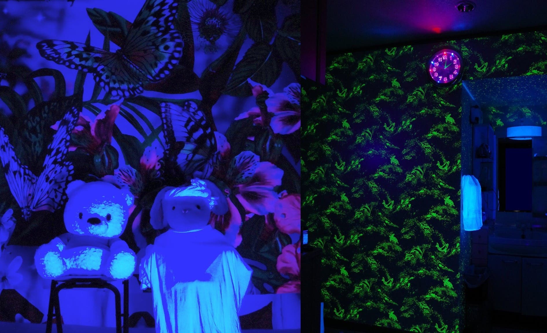 ☆自然光入るハウススタジオ☆2LDK丸ごと貸出し！写真/ロケ撮影・教室・女子会など(1部屋だけの利用もOK)の写真23