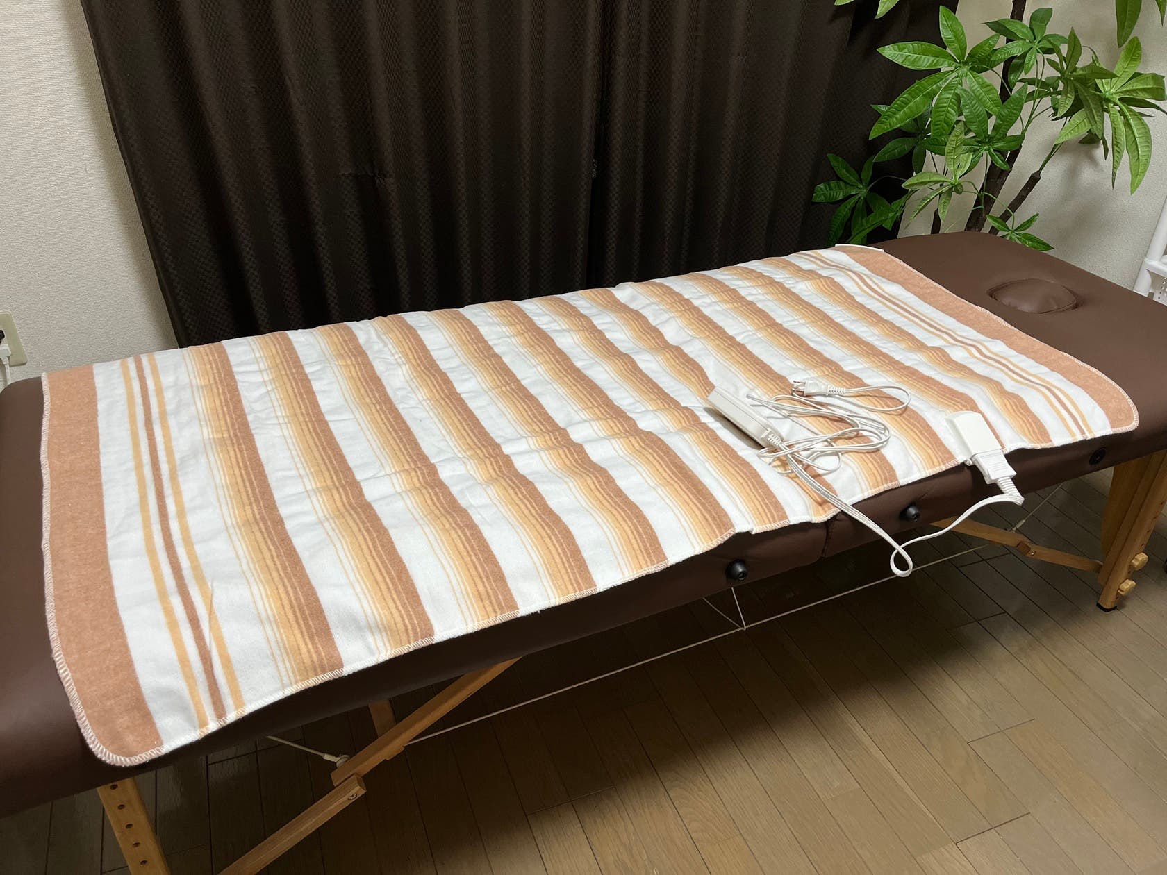 電気毛布の画像1