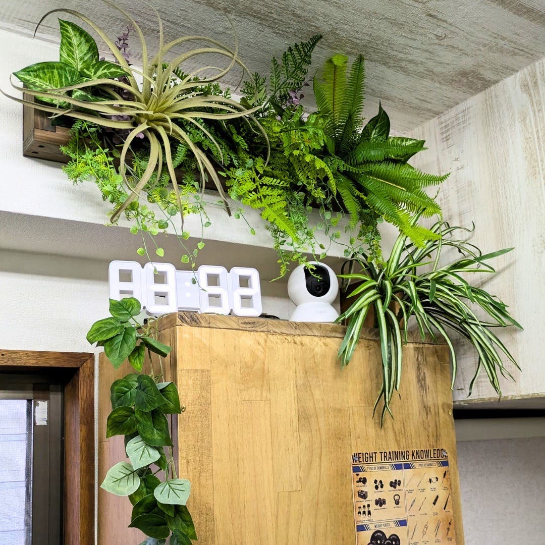 【千歳烏山駅徒歩6分】完全個室、スミスマシン、ケーブル、固定ダンベル1～30㎏、３名様までご利用可能！の写真7