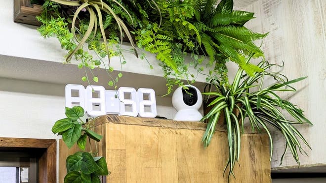 【千歳烏山駅徒歩6分】完全個室、スミスマシン、ケーブル、固定ダンベル1~30㎏、3名様までご利用可能!の写真7