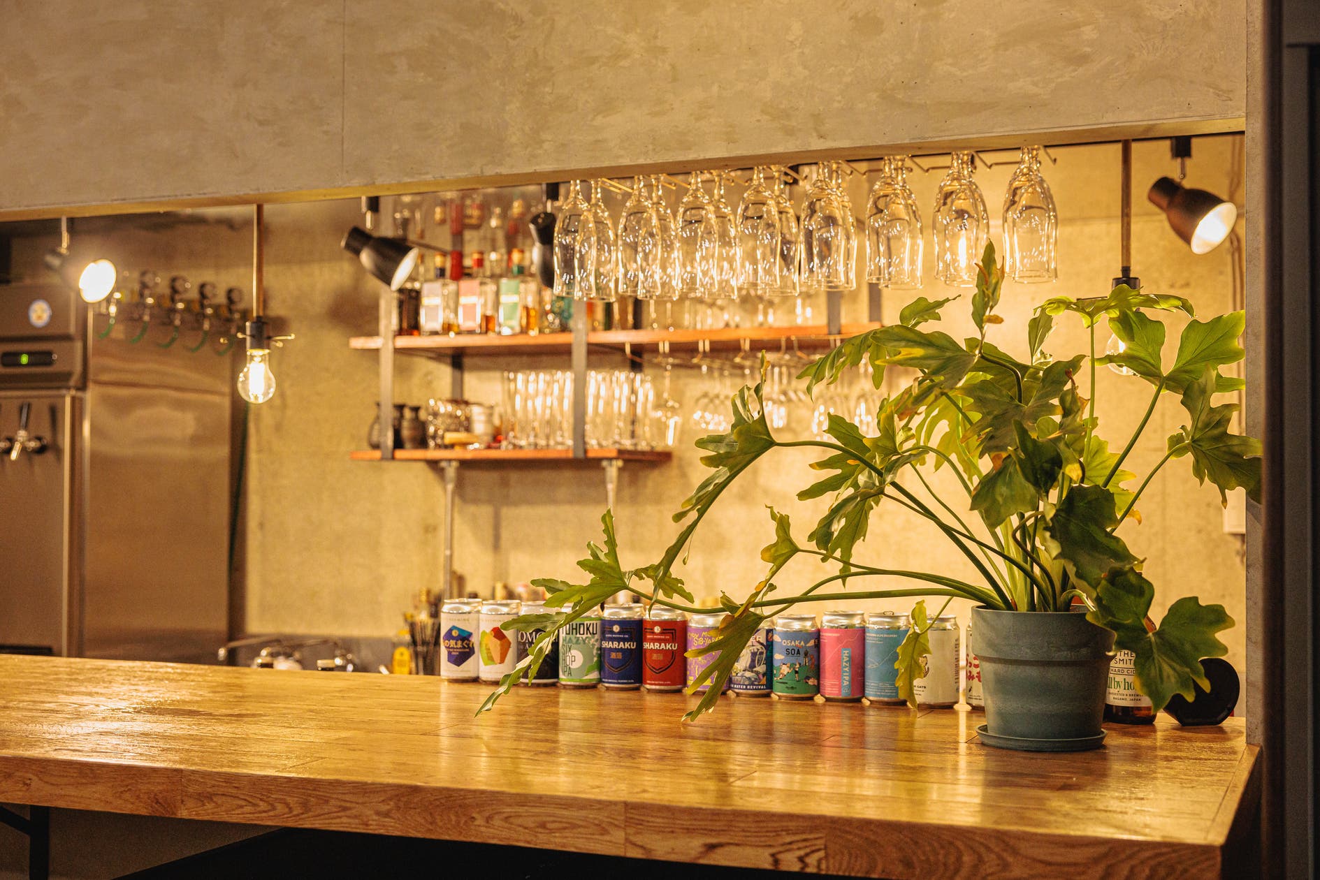 天高４m｜屋外地下ガーデン｜自然光｜撮影・インタビュー・ワークショップ・イベント・パーティー等に最適なコンクリデザイン空間の写真9