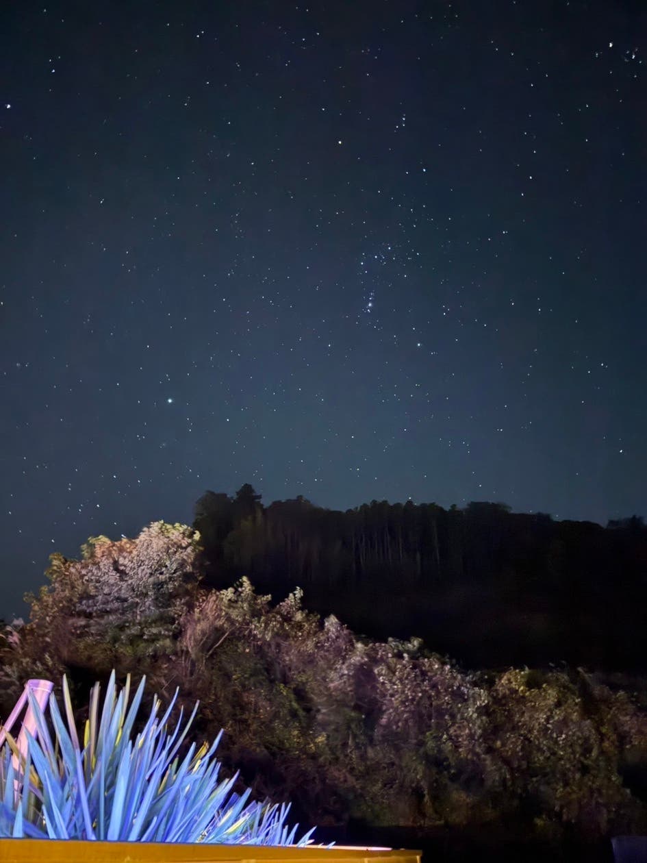 【フリースペース】完全貸切！使い方は無限大∞160㎡の写真21