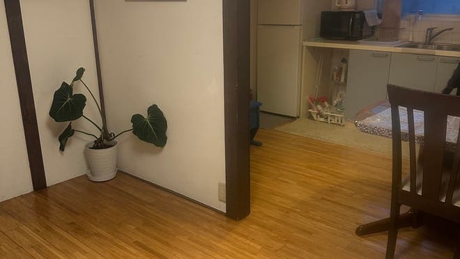 根津駅から徒歩3分の長屋一軒家ギャラリーの写真11