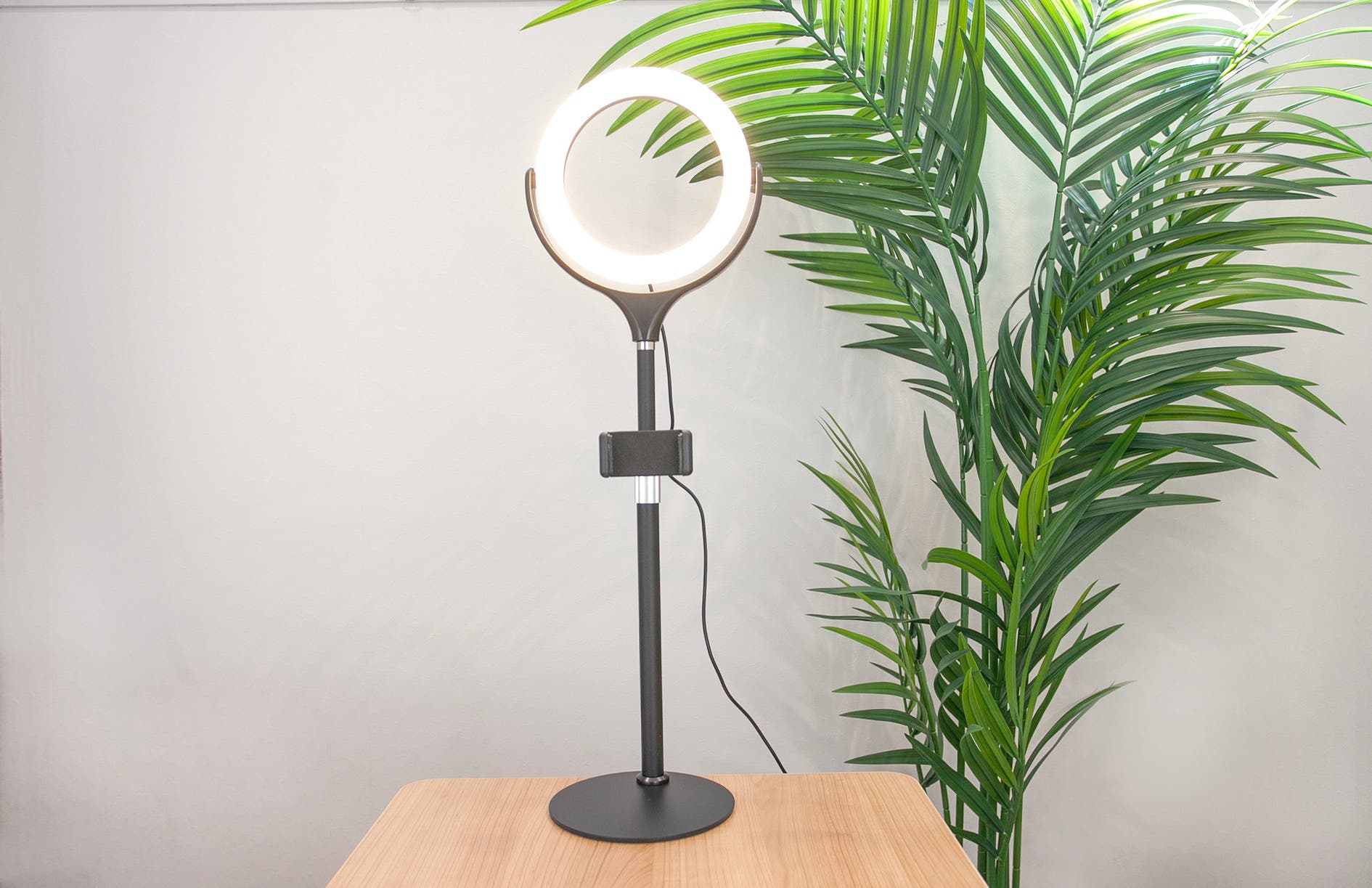 池袋駅東口徒歩４分/40名収容/毎日清掃/会議/セミナー/研修/懇親会/交流会/ボードゲーム/撮影/整体/推し活/光10GBの写真22