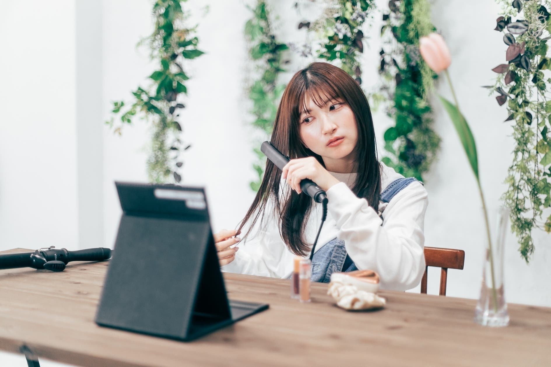 クリスマス🎄巨大なシンボルツリーと自然光、緑豊かな植物が映えるレンタル撮影スタジオの写真24