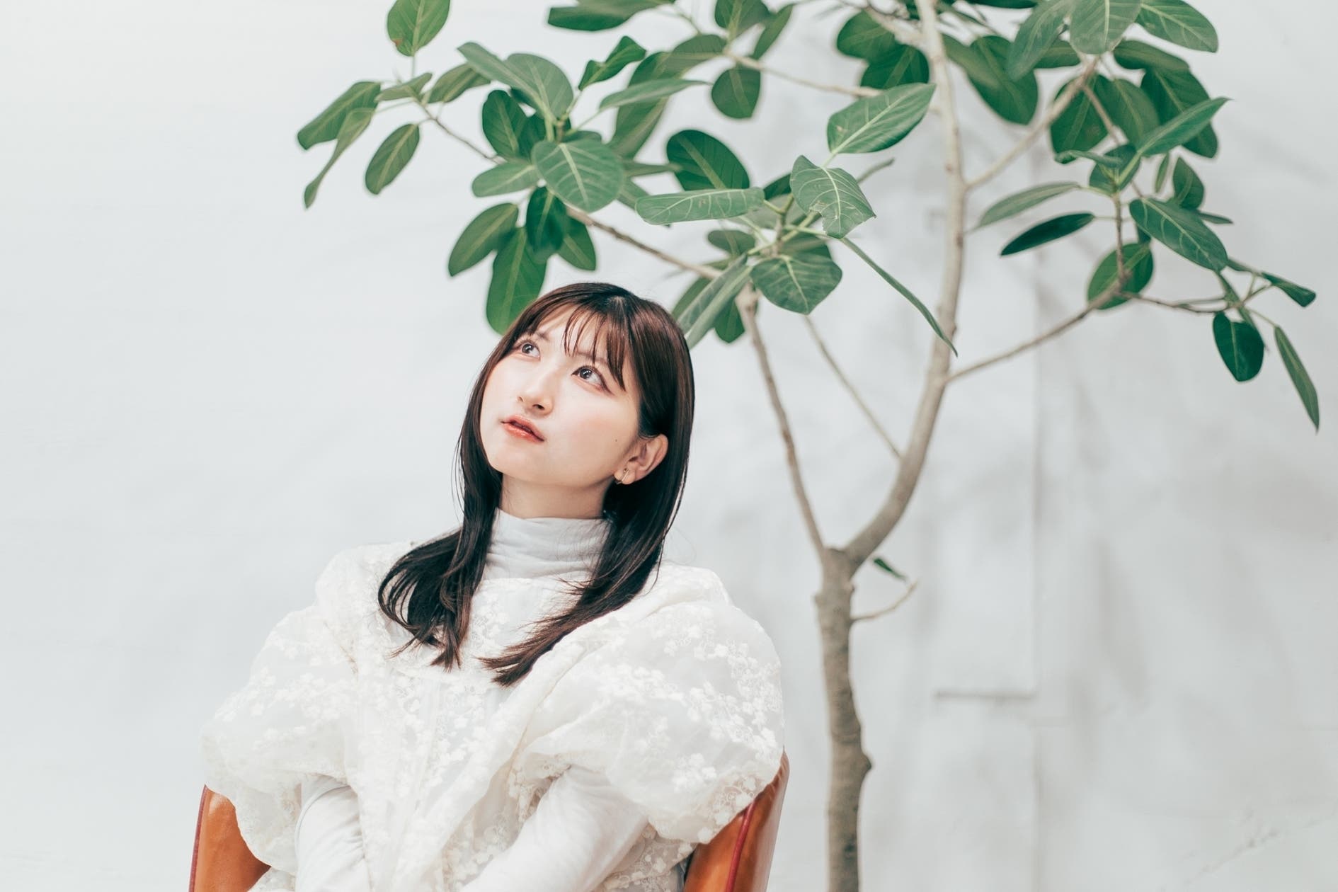 クリスマス🎄巨大なシンボルツリーと自然光、緑豊かな植物が映えるレンタル撮影スタジオの写真25