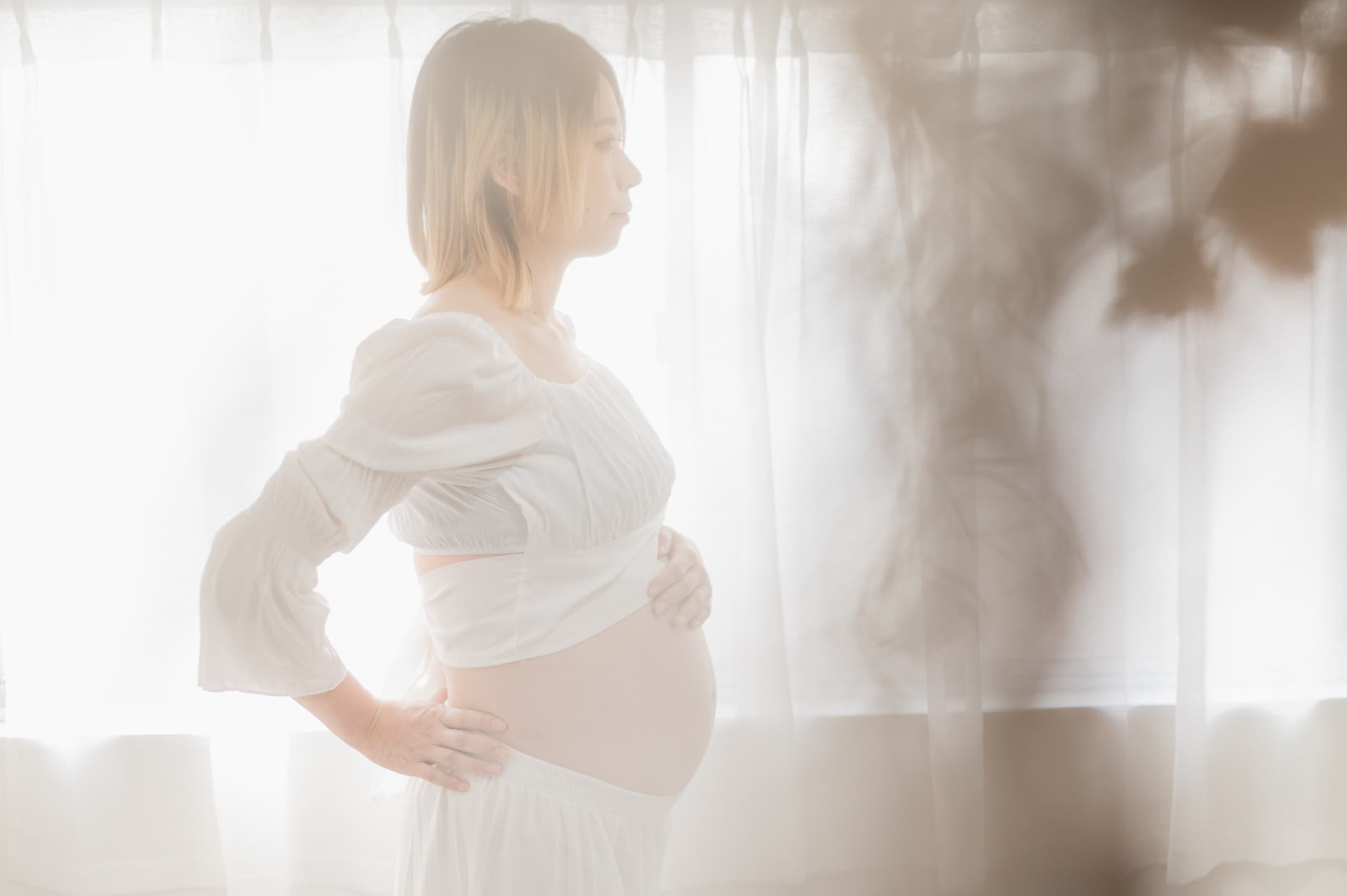 クリスマス🎄巨大なシンボルツリーと自然光、緑豊かな植物が映えるレンタル撮影スタジオの写真6