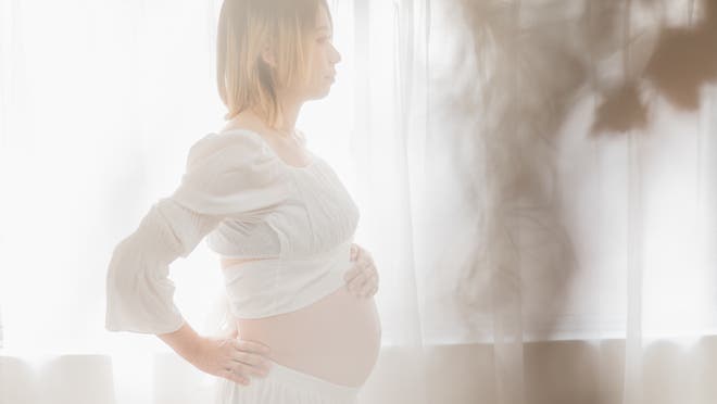 クリスマス🎄巨大なシンボルツリーと自然光、緑豊かな植物が映えるレンタル撮影スタジオの写真6