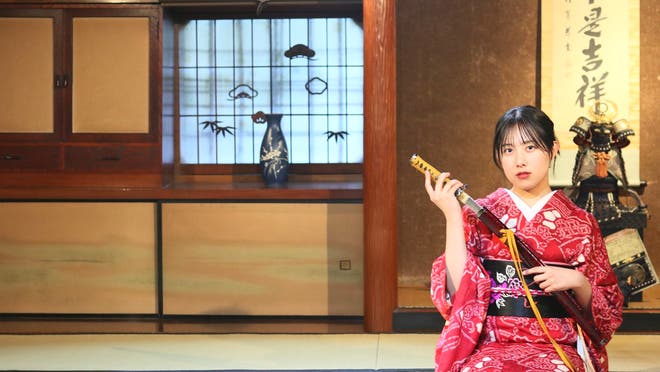 都会の美しい古民家🏡着物撮影、TV撮影、歓送迎会、寝転びながら和室でたまにはパーティの写真6