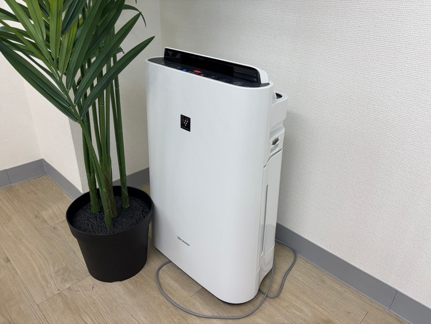 【渋谷駅 徒歩10分】ボードゲーム550種類🎮✨カードゲーム大会🃏ロケ収録、YouTube撮影📸イベント・オフ会✨会議🖊の写真27