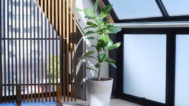 名古屋から一本!自然光たっぷりの多目的スタジオ / 覚王山駅徒歩1分の写真2