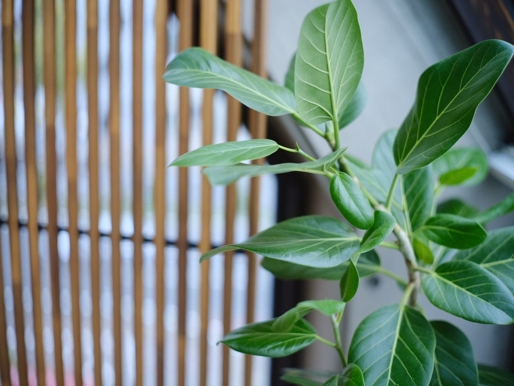 名古屋から一本！自然光たっぷりの多目的スタジオ / 覚王山駅徒歩1分の写真6