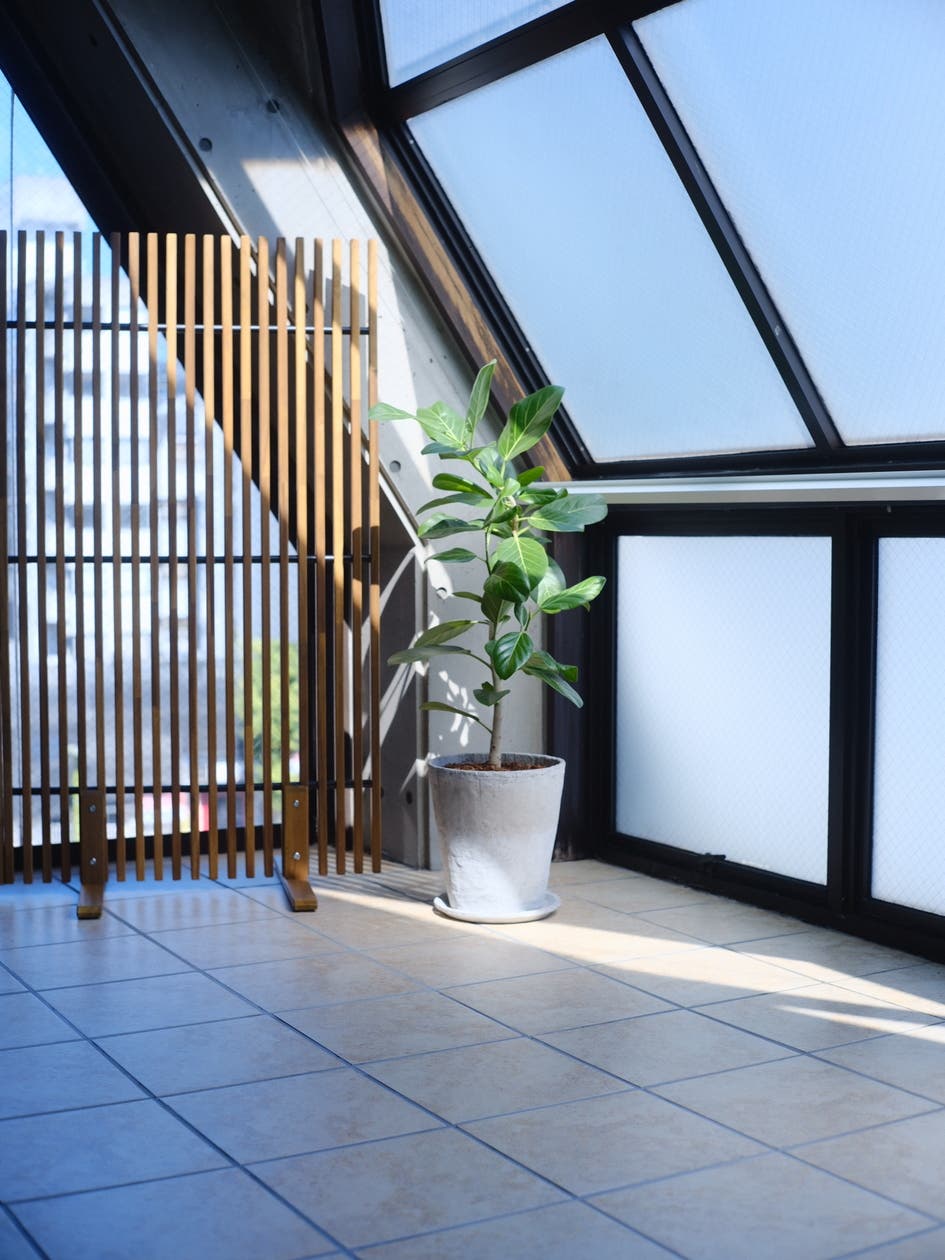 名古屋から一本！自然光たっぷりの多目的スタジオ / 覚王山駅徒歩1分の写真15