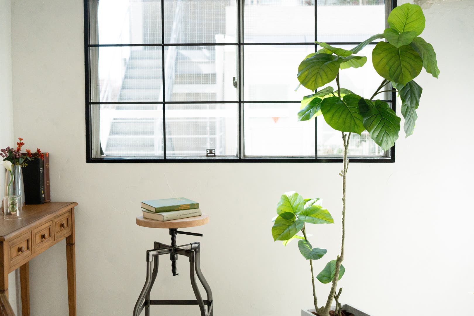 青山一丁目で叶える理想の撮影ロケーション・光とデザインが調和する特別な空間の写真8