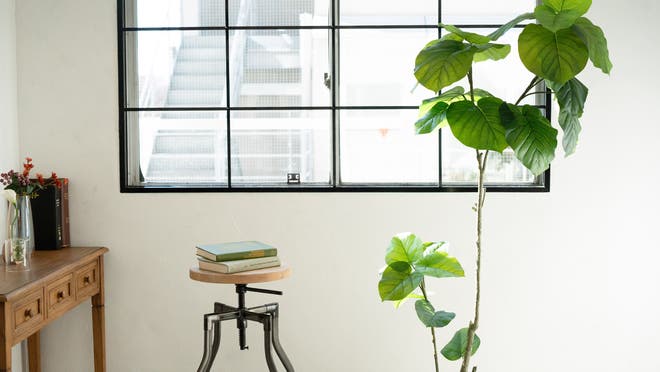 青山一丁目で叶える理想の撮影ロケーション・光とデザインが調和する特別な空間の写真8