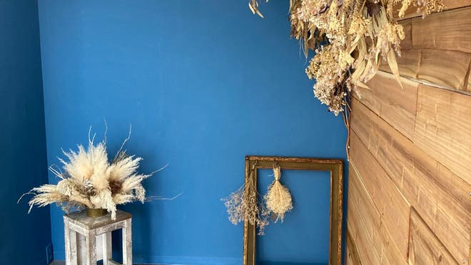 自然光が入り、6背景のテイストで撮れるレンタルスタジオの写真3