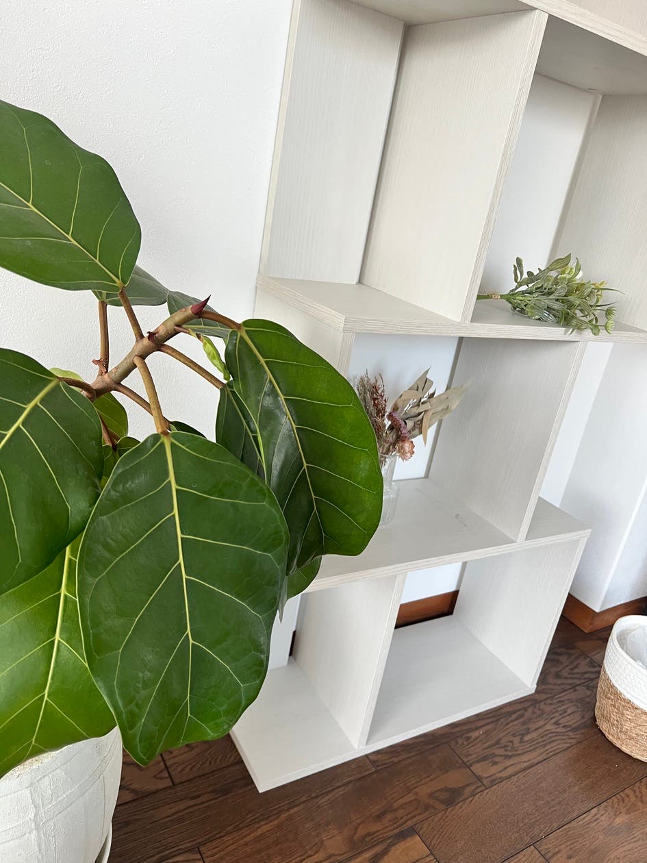 【エステルーム別館】1月中旬オープン！岩倉駅近♪駐車場有✨ホワイトを基調とした広々空間｜エステ｜整体マッサージ｜🛜の写真8