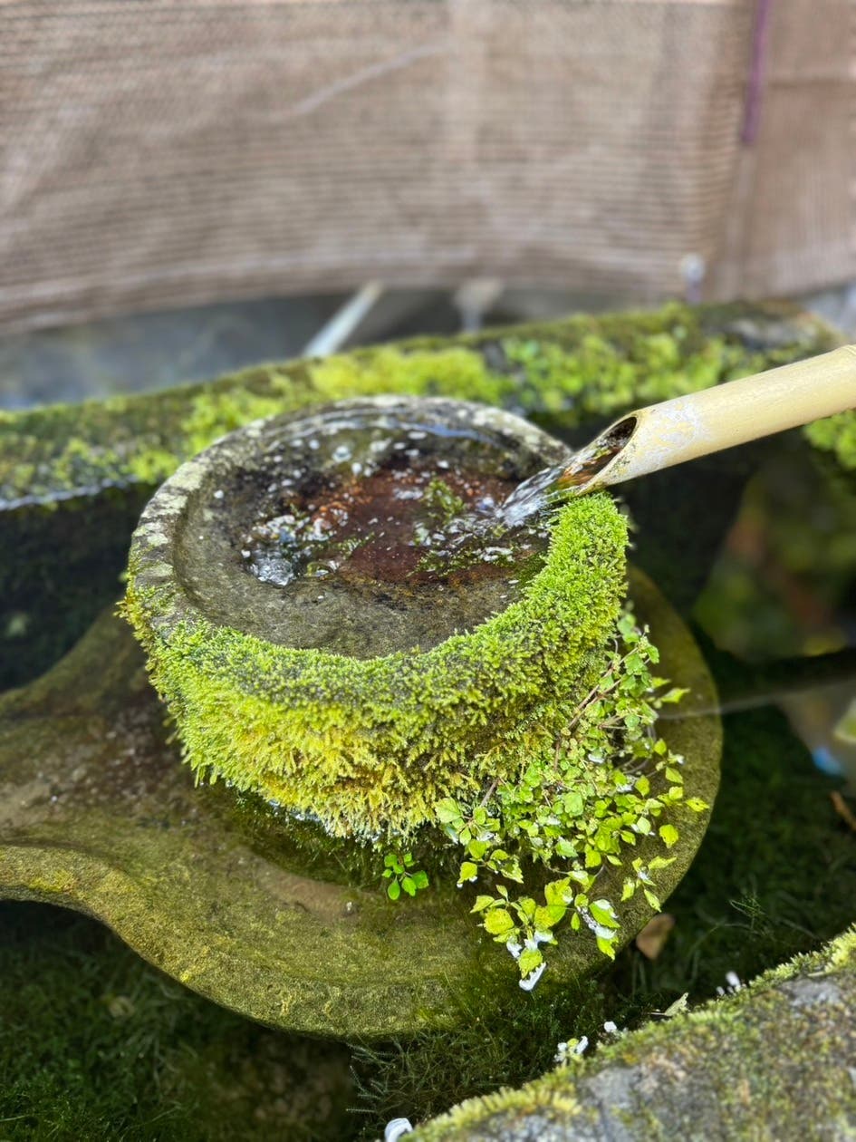 杖立温泉で古き良き趣が息づく、やすらぎの貸し空間の写真16