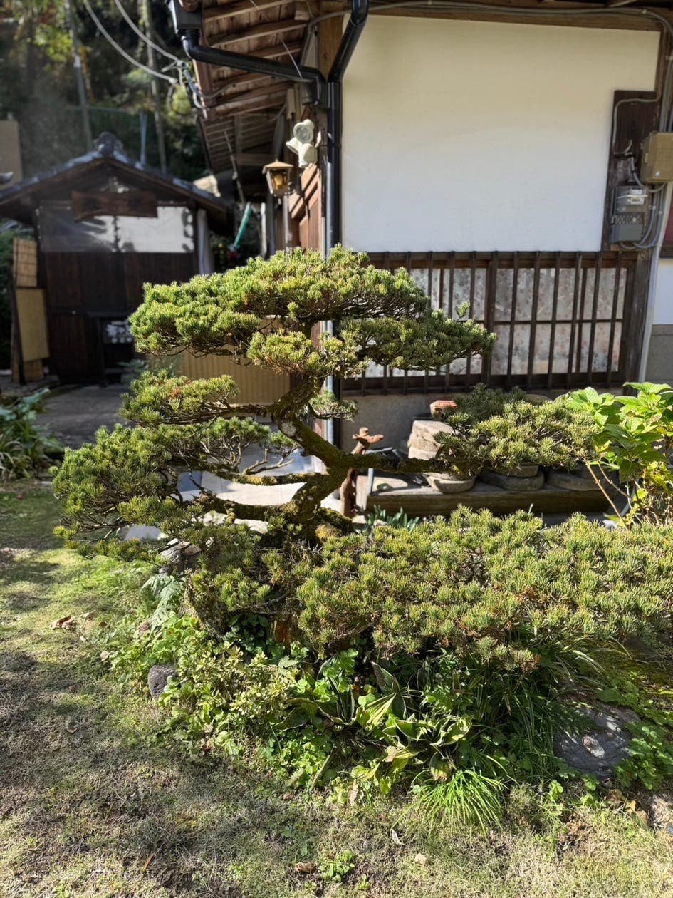杖立温泉で古き良き趣が息づく、やすらぎの貸し空間の写真17
