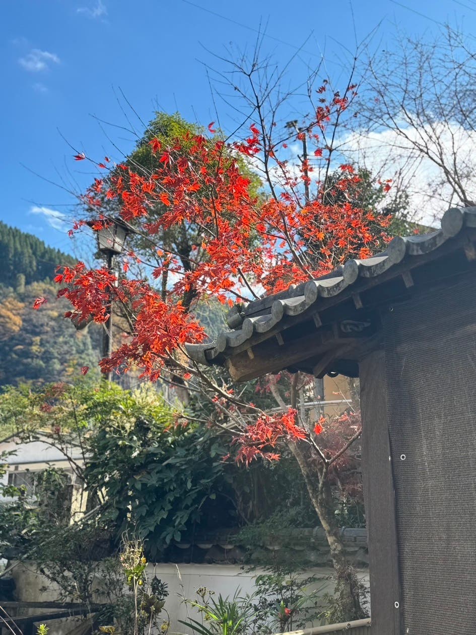 杖立温泉で古き良き趣が息づく、やすらぎの貸し空間の写真18